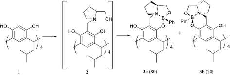 The synthesis and crystallographic structures of novel bora-oxazino ...