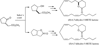 Synthesis of (R)-6,7-dihydro-5-HETE lactone and (S)-6,7-dihydro-5-HETE ...