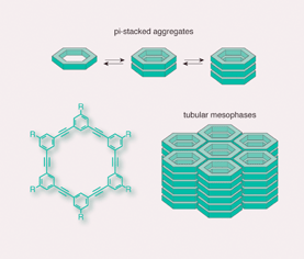 Shape-persistent arylene ethynylene macrocycles: syntheses and ...