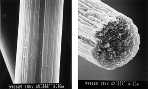 High-performance boron nitride fibers obtained from asymmetric ...
