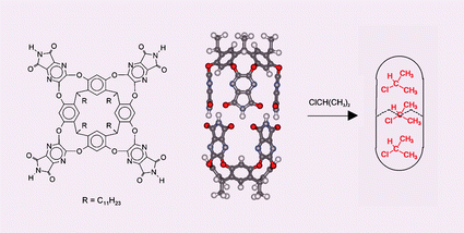 The inner solvation of a cylindrical capsule - Chemical Communications ...