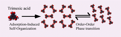 A two-dimensional molecular network structure of trimesic acid prepared ...