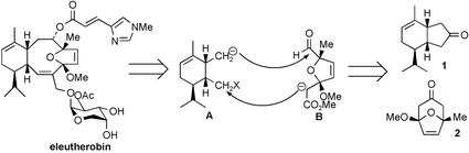 A convergent approach to the marine natural product eleutherobin ...