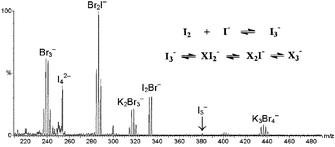 Studies of polyhalide ions in aqueous and non-aqueous solution by ...