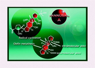 An expedient entry into the fused polycyclic skeleton of vannusal A ...