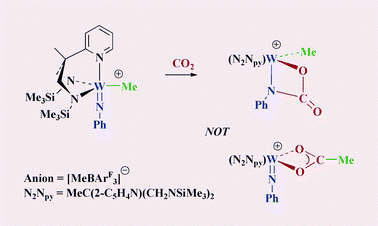 Synthesis and reactivity of the imidotungsten methyl cation [W(N2Npy ...