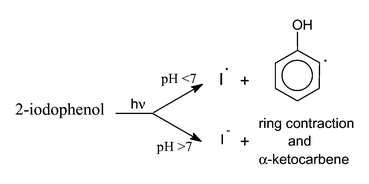 Mechanism of 2-iodophenol photolysis in aqueous solution - New Journal ...