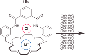 Facilitated transport of sodium or potassium chloride across vesicle ...