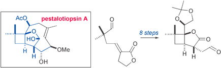The first synthetic studies on pestalotiopsin A. A stereocontrolled ...
