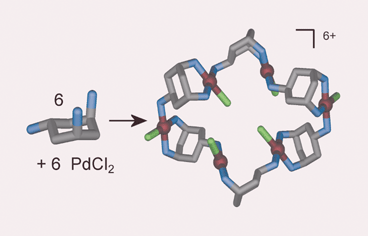 Self-assembly of a twelve-component hexanuclear metallomacrocycle ...