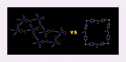 Coordination polymers based on square planar Co(ii) node and linear ...