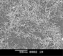 Synthesis and evolution of rod-like nano-scaled ZnC2O4·2H2O whiskers to ...