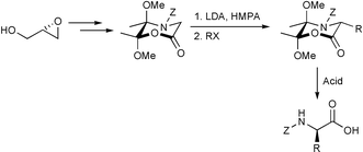 A 2,3-butanedione protected chiral glycine equivalent—a new building ...