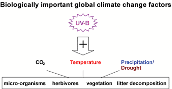 Terrestrial ecosystems, increased solar ultraviolet radiation and ...