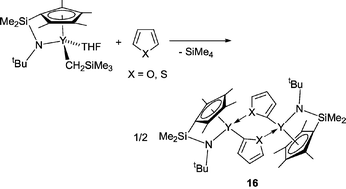 Rare earth metal complexes that contain linked amido-cyclopentadienyl ...