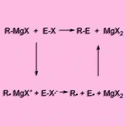 The quest for chiral Grignard reagents - Chemical Society Reviews (RSC ...