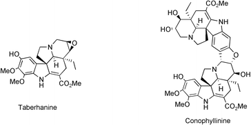 Biologically active indole and bisindole alkaloids from Tabernaemontana ...