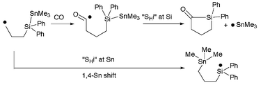 Two types of intramolecular homolytic substitution reactions at group ...