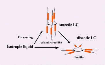 Calamitic and discotic mesophases formed by kinetically controlled rod ...