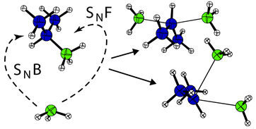 Nucleophilic identity substitution reactions. The reaction between ...
