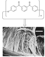 Microfabrication of high-performance aromatic polymers as nanotubes or ...