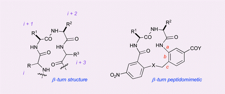 Syntheses of second generation, 14-membered ring β-turn mimics ...