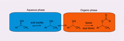 A zeolite–enzyme combination for biphasic dynamic kinetic resolution of ...