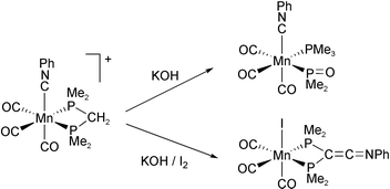 P–C versus C–H bond cleavage in coordinated bis(dimethylphosphino ...