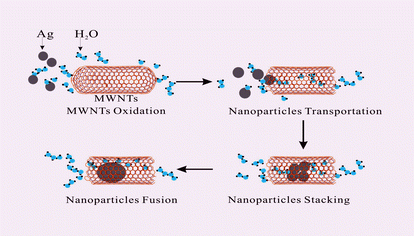 Transportation of silver nanopaticles in nanochannels of carbon ...