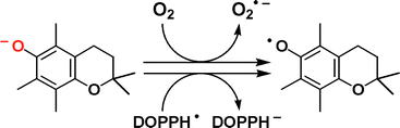 Kinetic study of the electron-transfer oxidation of the phenolate anion ...