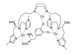 Enantio-differentiating catalytic oxidation by a biomimetic trinuclear ...