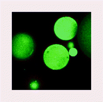Quantum dot-labelled polymer beads by suspension polymerisation ...