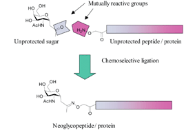 Chemoselective ligation in glycochemistry - Chemical Communications ...