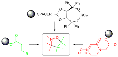 1,3-Dipolar cycloaddition on solid supports: nitrone approach towards ...
