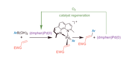 The first ligand-modulated oxidative Heck vinylation. Efficient ...