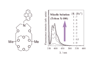 A novel fluorescent indicator for Ba2+ in aqueous micellar solutions ...