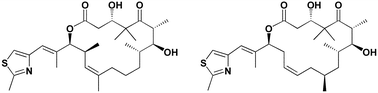 Conformation–activity relationships in polyketide natural products ...