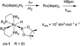 Photochemical oxidative addition of B–H bonds at ruthenium and rhodium ...