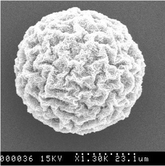 Preparation of metal sulfide–polymer composite microspheres with ...