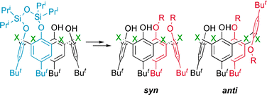Stereoselective dialkylation of the proximal hydroxy groups of calix ...