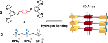 A one-dimensional array with controlled length from a PYBOX dimer with ...