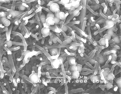 Atmospheric pressure chemical vapour deposition of VO2 and VO2/TiO2 ...