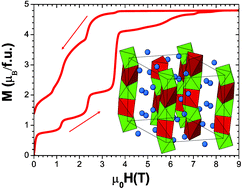 Quantum tunneling of the magnetization in the Ising chain compound ...