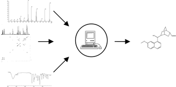 Recent developments in automated structure elucidation of natural ...