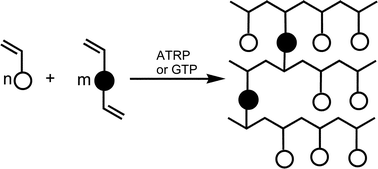 Synthesis of branched poly(methyl methacrylate)s via controlled/living ...