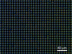 Ordered 2D arrays of ferromagnetic Fe/Co nanoparticle rings from a ...