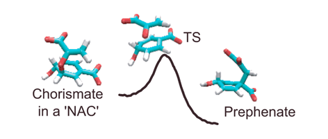 Conformational effects in enzyme catalysis: QM/MM free energy ...