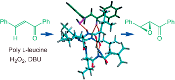 The mechanism of polyleucine catalysed asymmetric epoxidation ...
