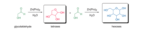 Zinc–proline catalyzed pathway for the formation of sugars - Chemical ...