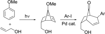 Palladium catalyzed arylation reactions of meta photocycloadducts ...